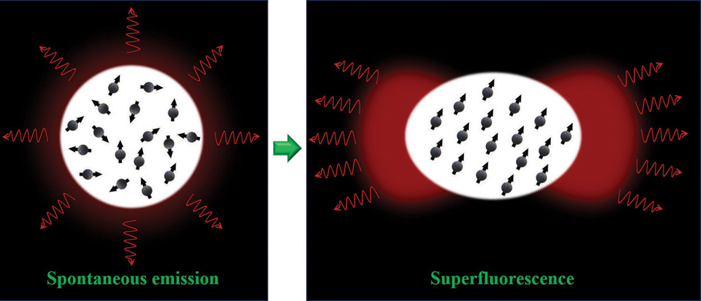 Optics & Photonics News - Superfluorescence from an Electron–Hole Plasma