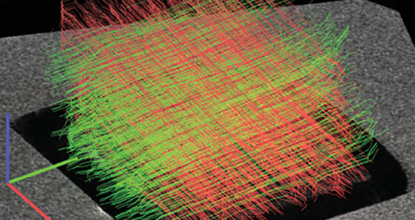 Optics & Photonics News - 3D-Printed Phantom Brains