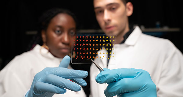 Optics & Photonics News - Computer Vision Speeds Up Semiconductor Screening