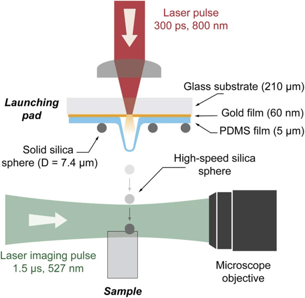 Optics & Photonics News - A Deeper View of High-Speed Impacts