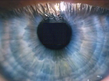 Optics & Photonics News - Tiny Pixels Approach the Limits of Human Vision
